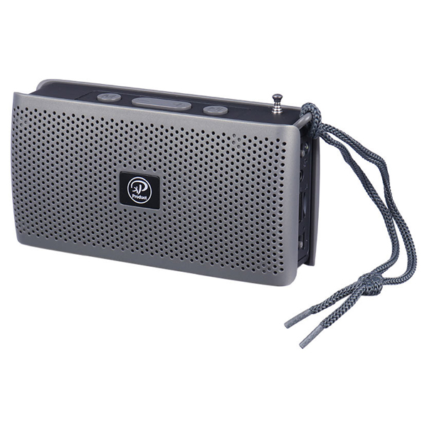 اسپیکر بلوتوثی شارژی XP-PRODUCT ایکس پی مدل XP-B601G